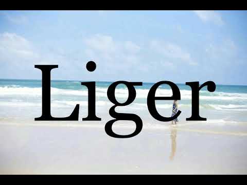 How To Pronounce Liger🌈🌈🌈🌈🌈🌈Pronunciation Of Liger