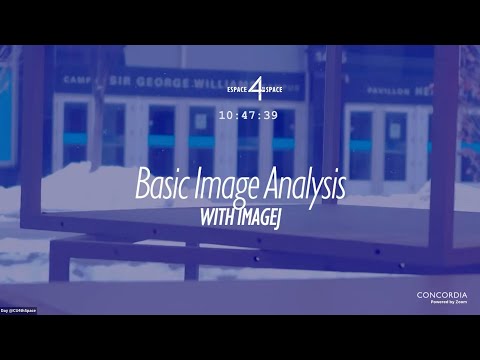 Basic Image Analysis with ImageJ