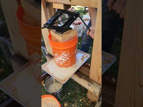 Making Cider