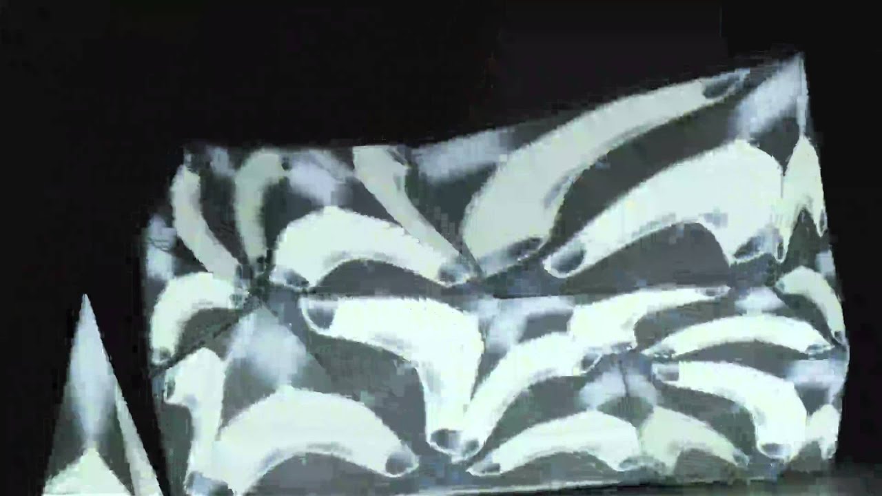 Urban Canvas: The opening video for session 5 of TEDGlobal 2014