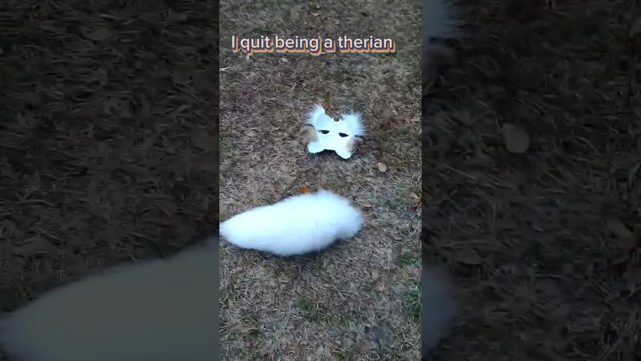 im quitting therianthropy #therian #therianthropy #antizoo #quadrobics #quitting #jk
