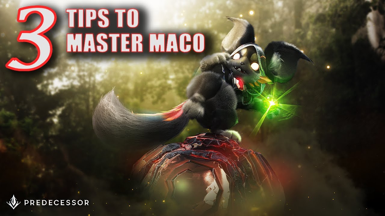3 Essential Tips For Maco - Predecessor Guide