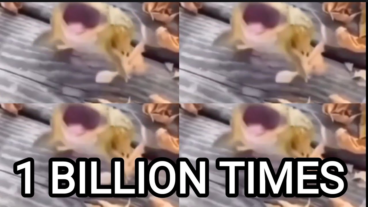 Frog laughing for 1 BILLION times
