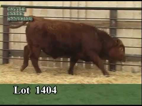 Lot 1404 Cattle Creek 2012