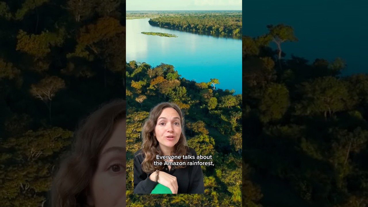 We’re restoring one of Earth’s most underrated ecosystems