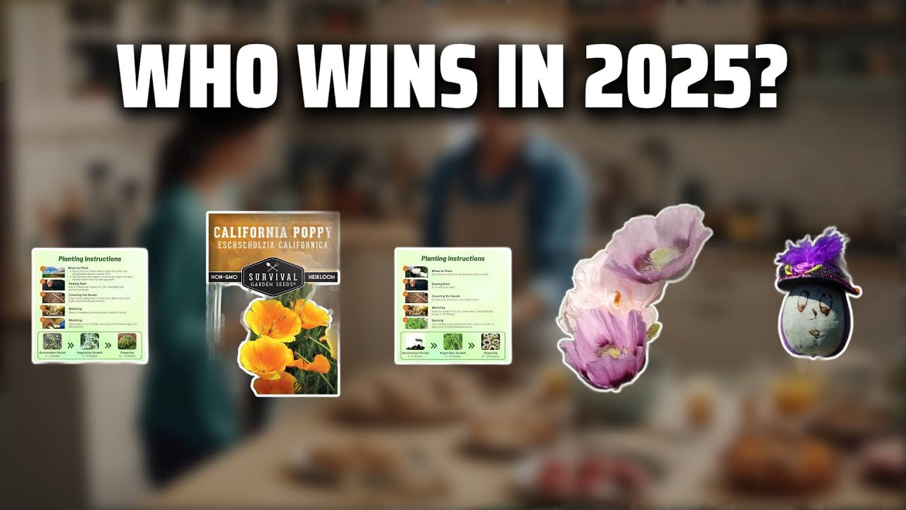 The Top 5 Best Poppy Seeds in 2025 - Must Watch Before Buying!