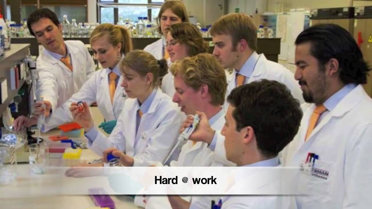 iGEM TU Delft 2010: An Overview