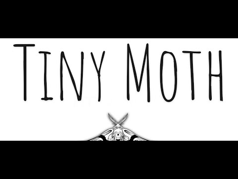 Tiny Moth - Look At Me (Official Video)