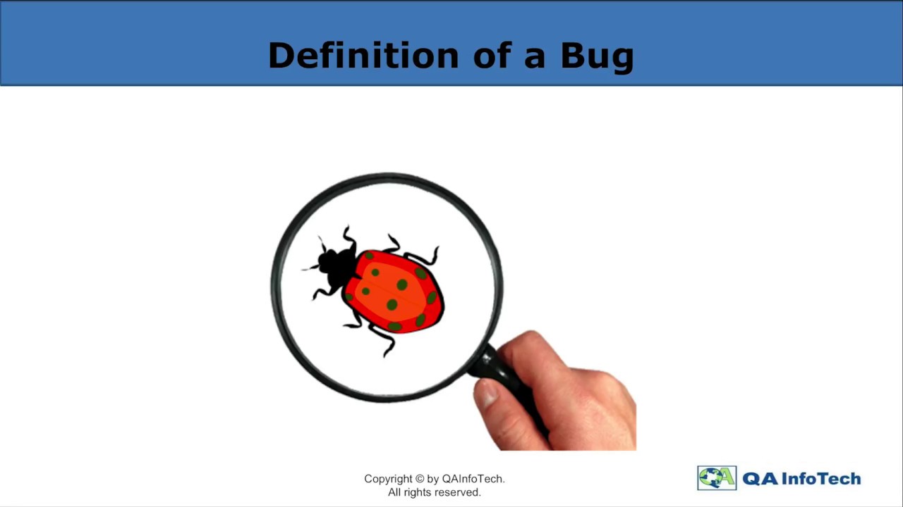 Learn Bug Reporting Techniques