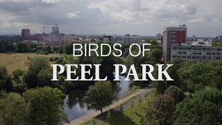3 Best Parks in Salford, UK - Expert Recommendations