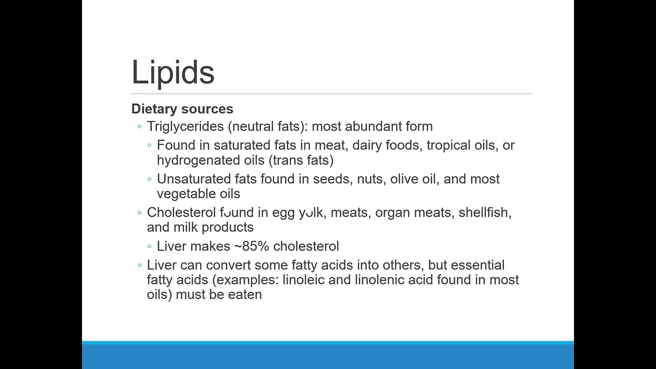 BIO 211 Chapter 24 PPT Recording