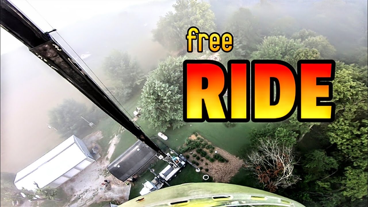 Hazardous Tree Removal⚠️ Tree Work & Cranes!!