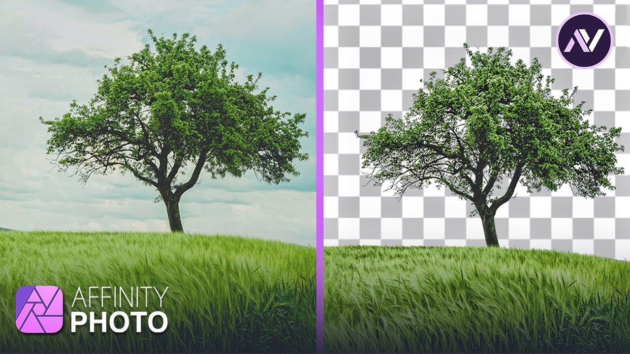How to Cut Out a Tree in Affinity Photo | Remove Tree Background | Affinity Photo Tutorial