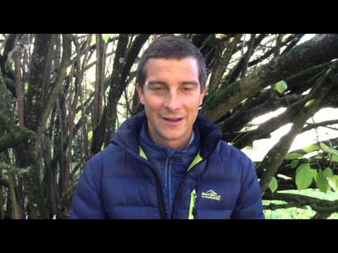 Bear Grylls Adventure reality series now casting