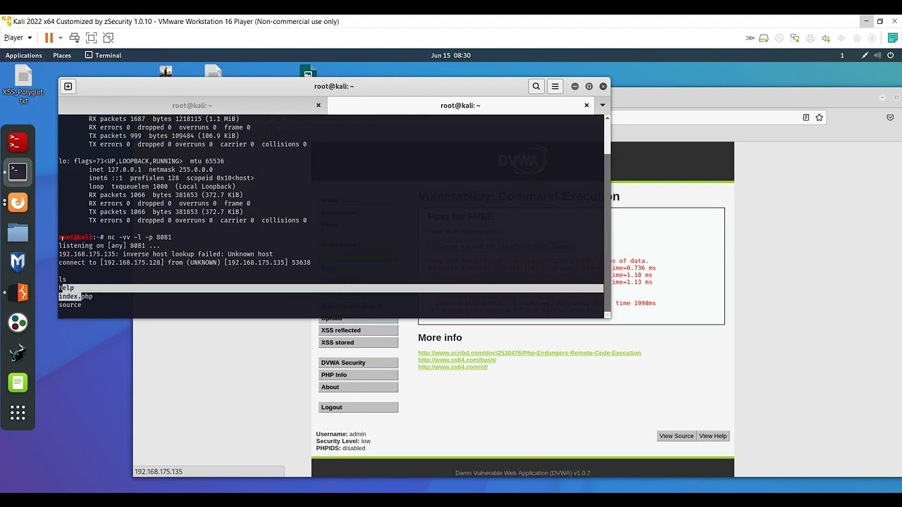 Exploit Basic Code Execution Vulnerabilities To Hack Website