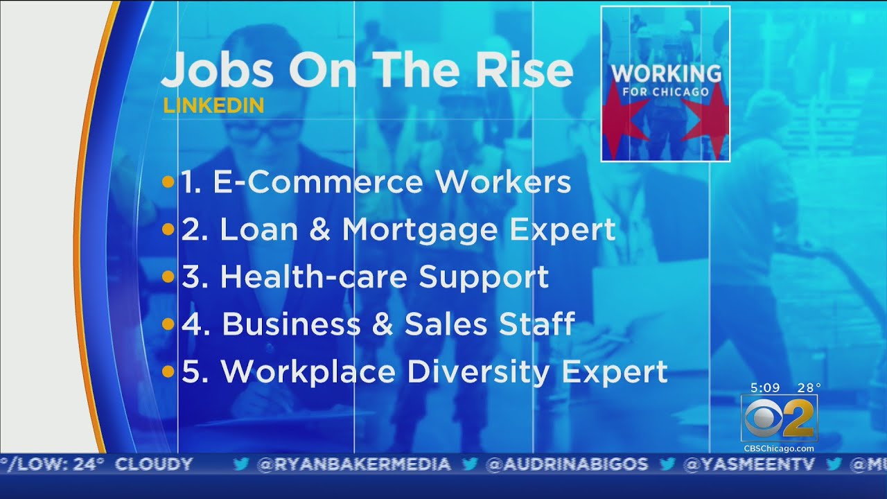 LinkedIn Announces Fields With Jobs On The Rise