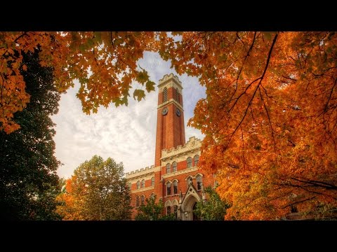 Vanderbilt By The Numbers