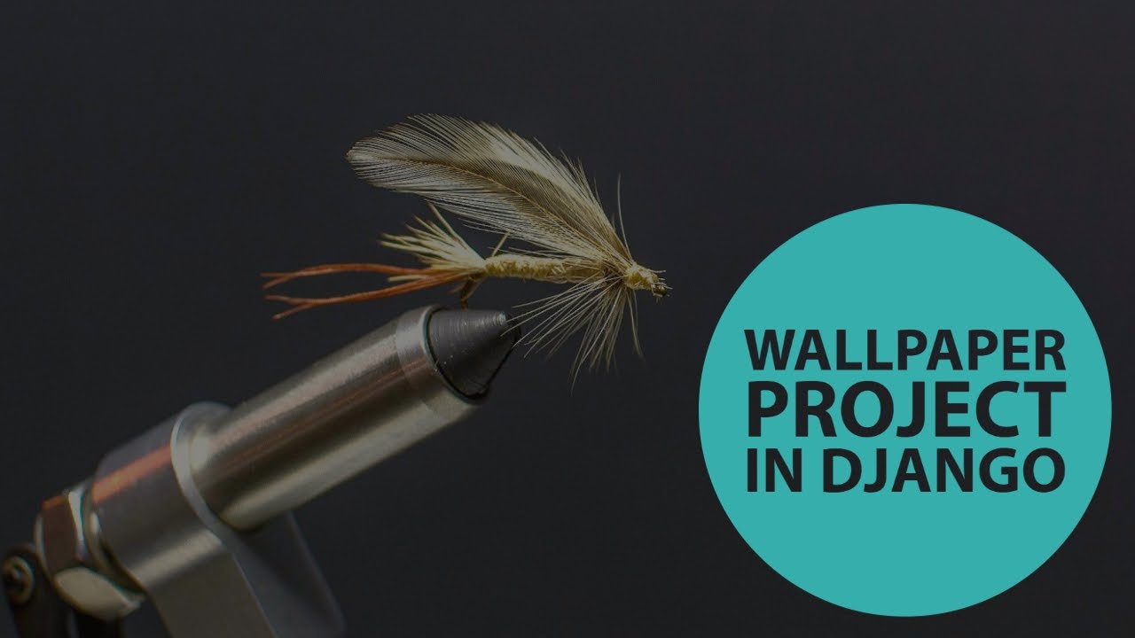 Building a Wallpaper Project in Django using API | Full Stack Web development Project