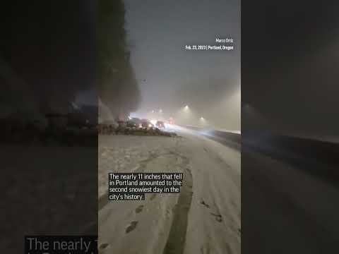 Winter storms shut down much of Portland #shorts
