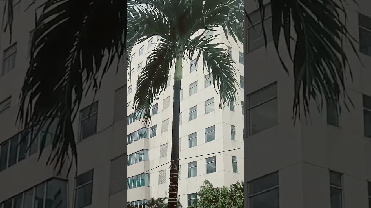 DLF INSIDE VIEW PETROFAC AND NTTDATA COMPANY #nttdata #dlf #chennai #chennaivlog #southextension