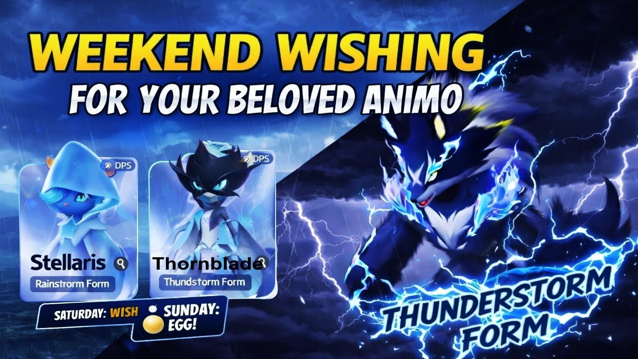 Aniimo Beta 2 Weekend Wishing Explained | Storm Variants, Picks, Hatch Rates!