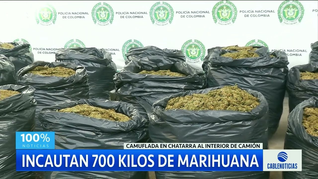 Incautan 700 kilos de marihuana camuflados al interior de un camión