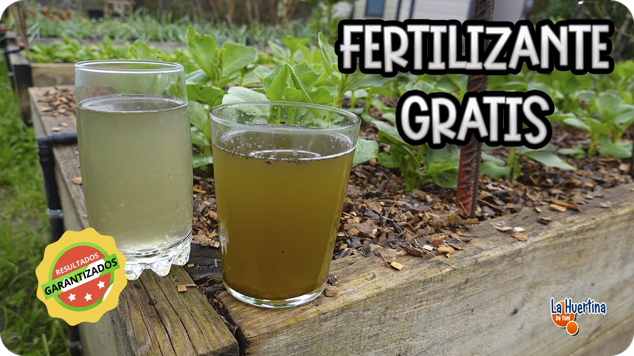 FERTILIZANTE NPK ( Potasio, fosforo y nitrógeno ) equilibrado y sin QUIMICOS || La Huertina De Toni