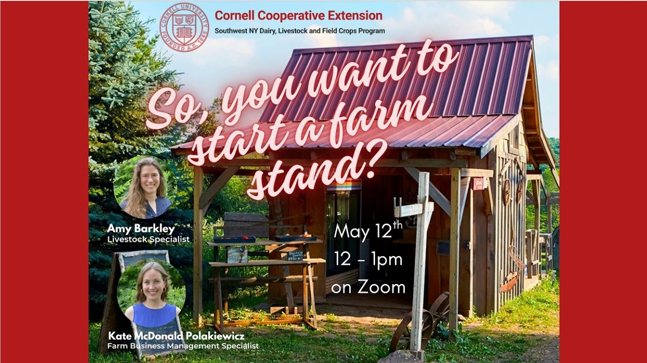 So, You Want to Start a Farm Stand?