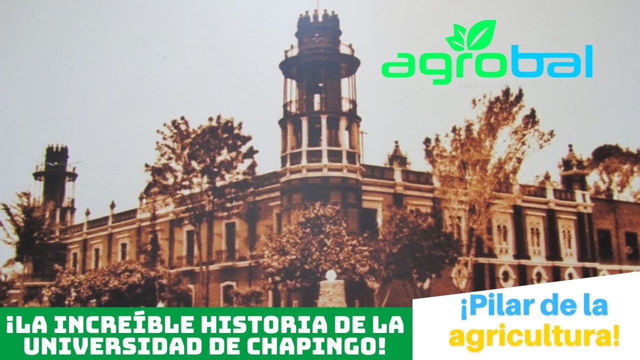 ¡LA INCREÍBLE HISTORIA DE LA UNIVERSIDAD DE CHAPINGO!🤖🏦