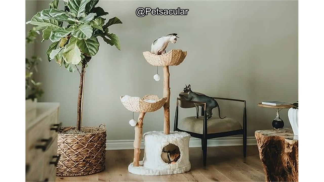 MAU Modern Cat Tree Review: Is This Luxury Condo Worth the Investment for Large Cats?