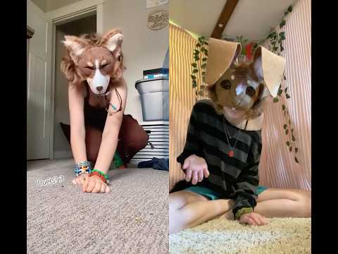 My moms mask :3 #collab #furry #therian #rabbit #cosplay #catmask