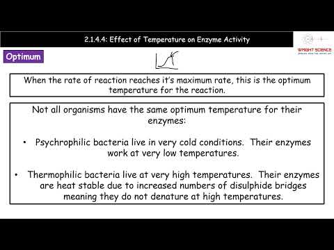 A Level Biology - 2.1.4.4 - Effect of Temperature on Enzyme Activity