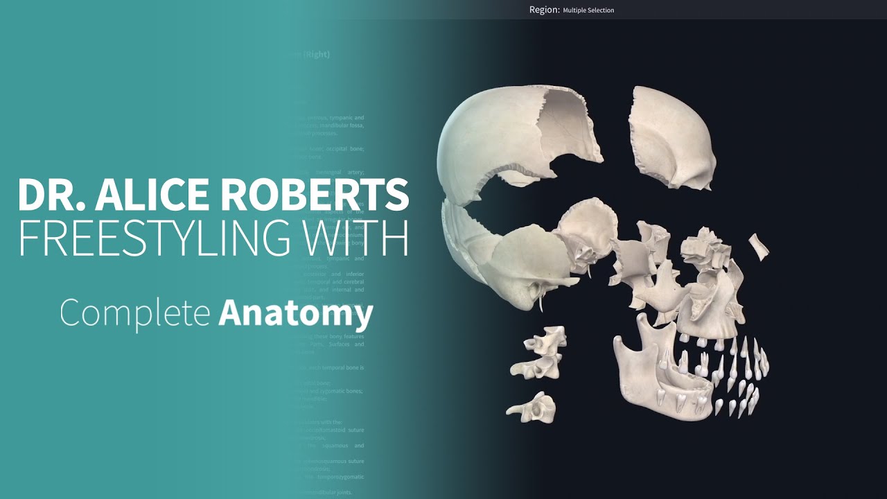 Freestyling with Complete Anatomy with Dr. Alice Roberts