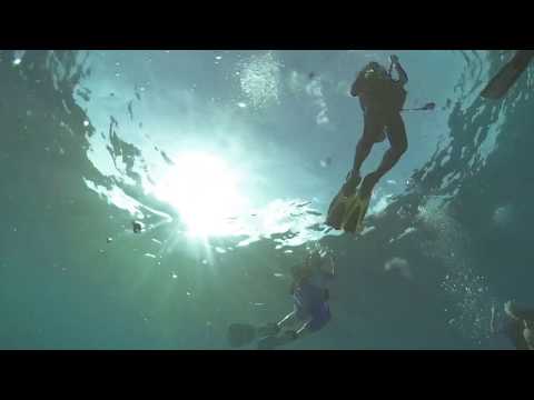 Thanksgiving Cruise Scuba Diving – Badcowboy.com