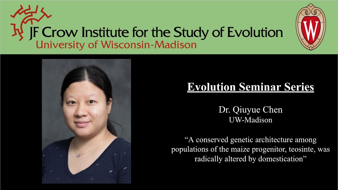 Qiuyue Chen: Genetics of Teosinte domestication