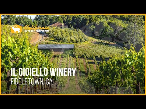 Il Gioiello Winery | Fiddletown, California