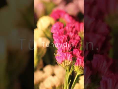 Common Turkish words, English translation | Multilingual | YouTube Shorts Turkish language.