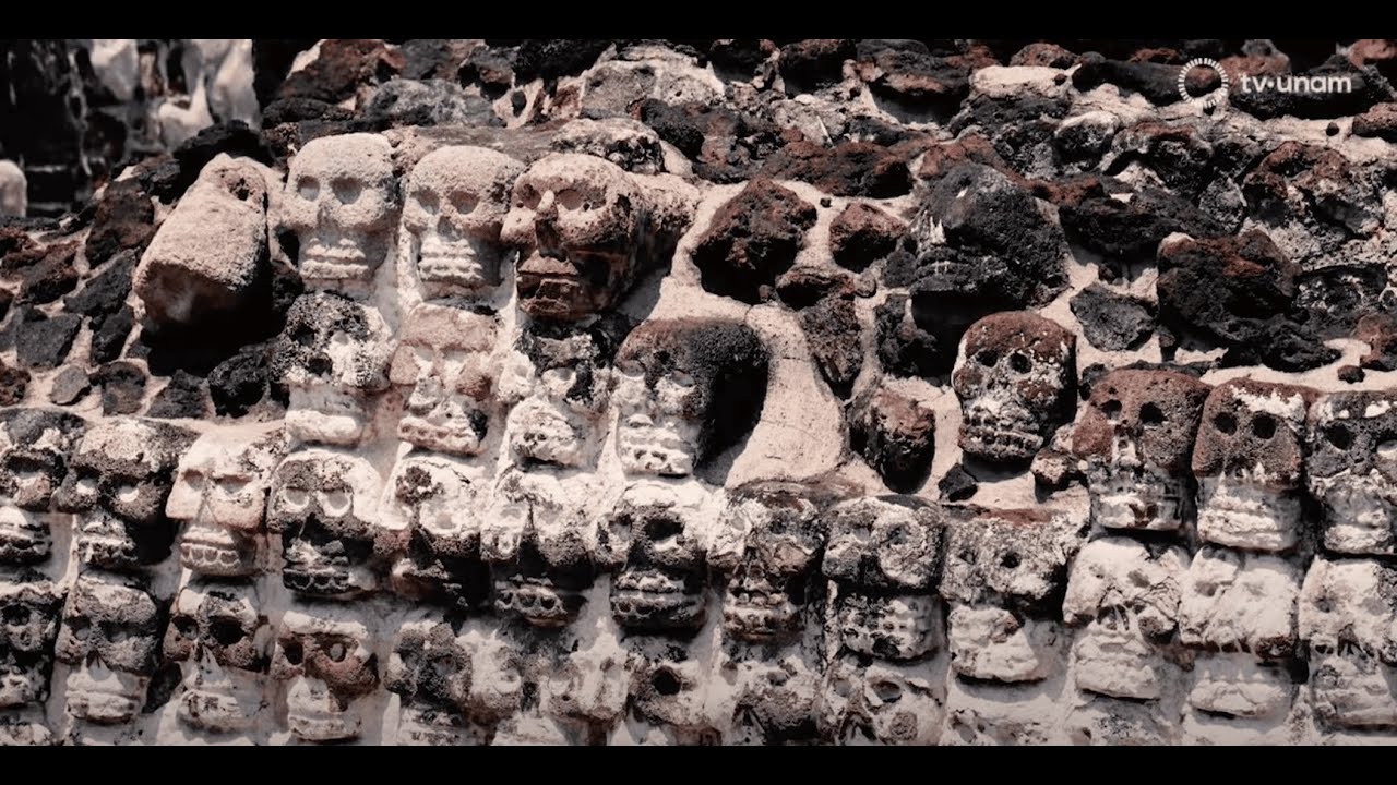 Arqueología Mexicana: Tzompantli: semillas de vida