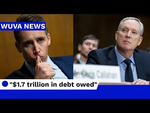 Senate Grills Visa and Mastercard: Swipe Fees Spark Fairness Debate