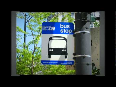 1 BR Apartment For Rent in Lincoln Park Chicago - The Apartment People (35469)