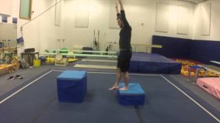 Strength and Conditioning within Platform and Springboard diving in ...