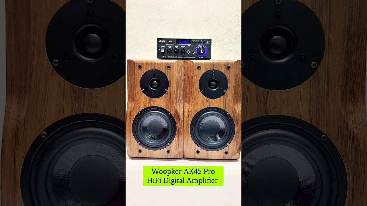 WOOPKER AK45 Pro HiFi-Verstärker Test 2025