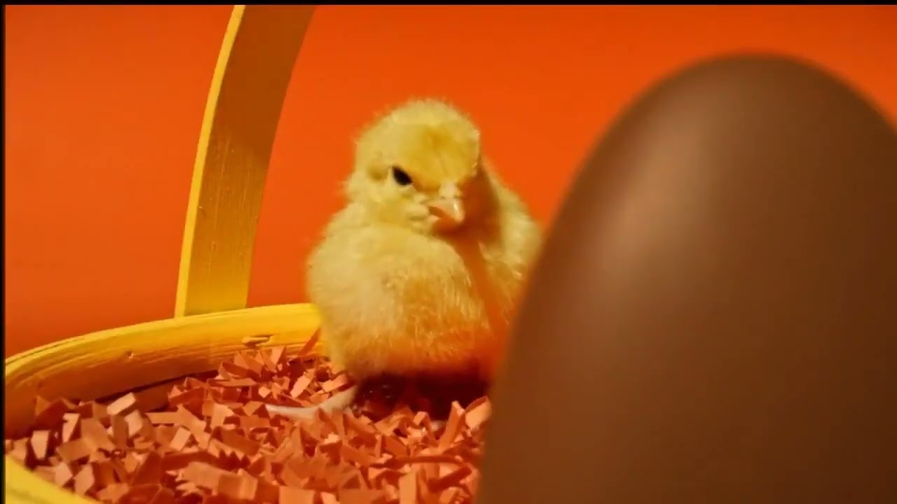 Reese's Easter Commercial.