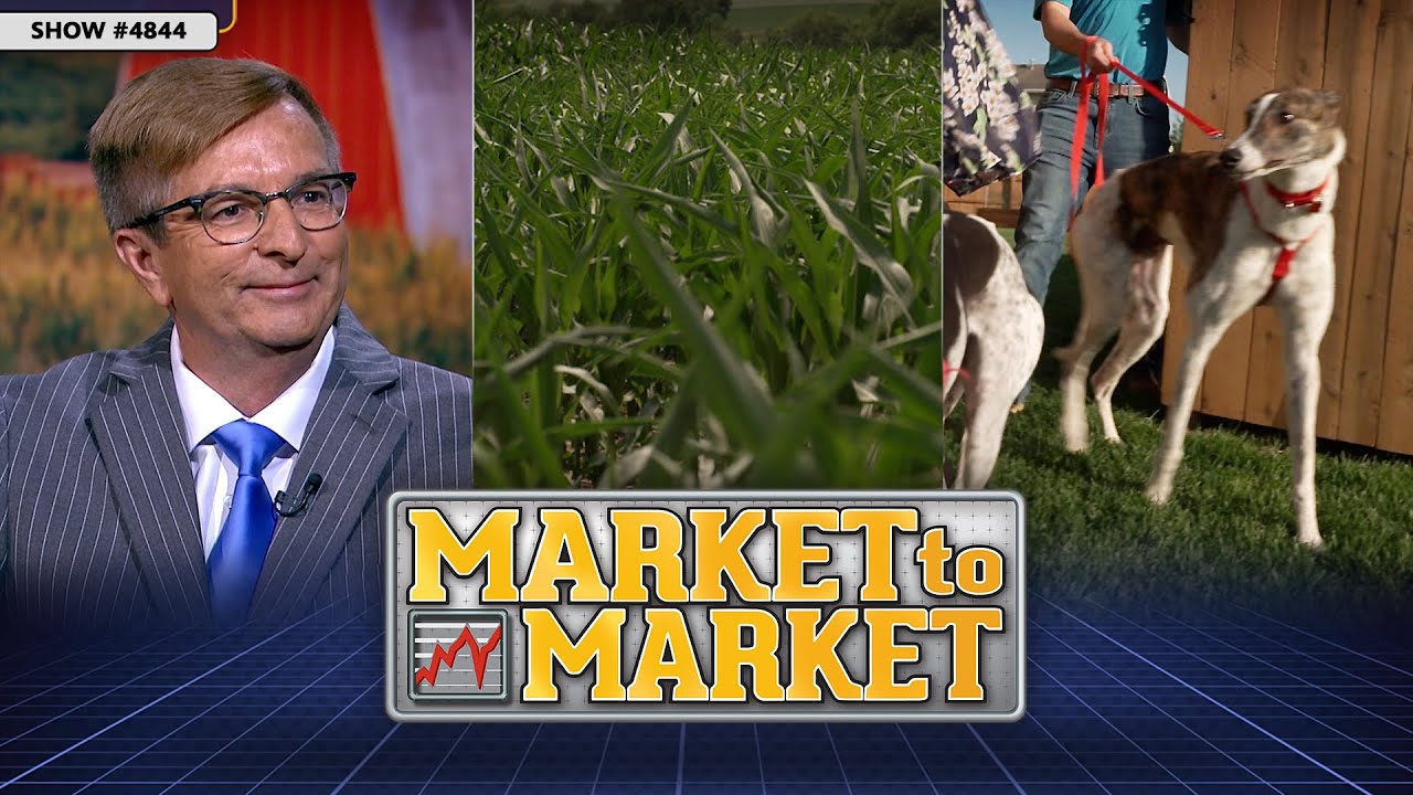 Market to Market - June 16, 2023