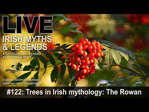 Live Irish Myths episode #122: Trees in Irish mythology: The Rowan