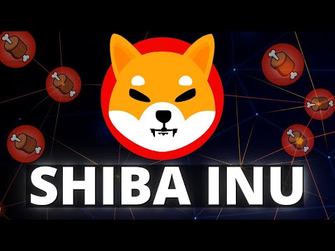 What is the Shiba Inu Coin? SHIB Explained with Animations | Cryptocurrency for Beginners