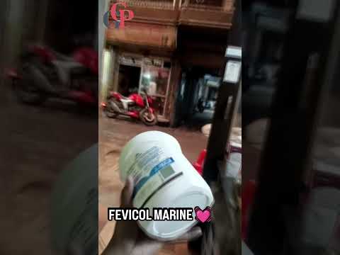 HERE'S THE 🆕 FEVICOL MARINE 💓 THE WATERPROOF ADHESIVE 🫡 #trending #furniture #trendingshorts
