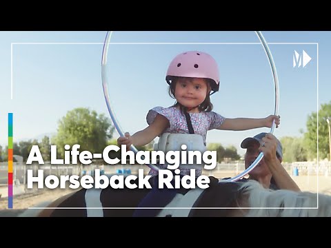 How These Horses Heal Lives