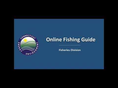 CT DEEP Online Fishing Guide Tutorial