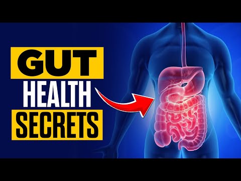 Best Fruits to Cleanse & Repair Your Kidneys – Essential Tips for ...